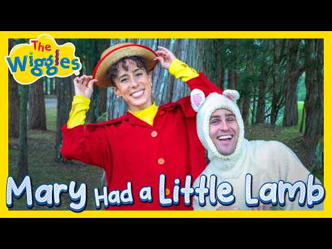 Mary Had a Little Lamb 🐑  Animal Nursery Rhyme Adventure for Kids 🎶 The Wiggles
