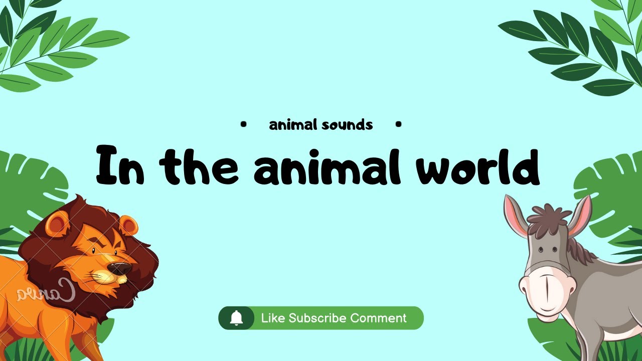 Animal World: Octopus, Hyena, Horse, Sea Lion, Armadillo - Animal ...