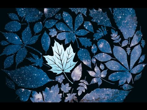 'The Promise of the Child', Tom Toner, full review - YouTube