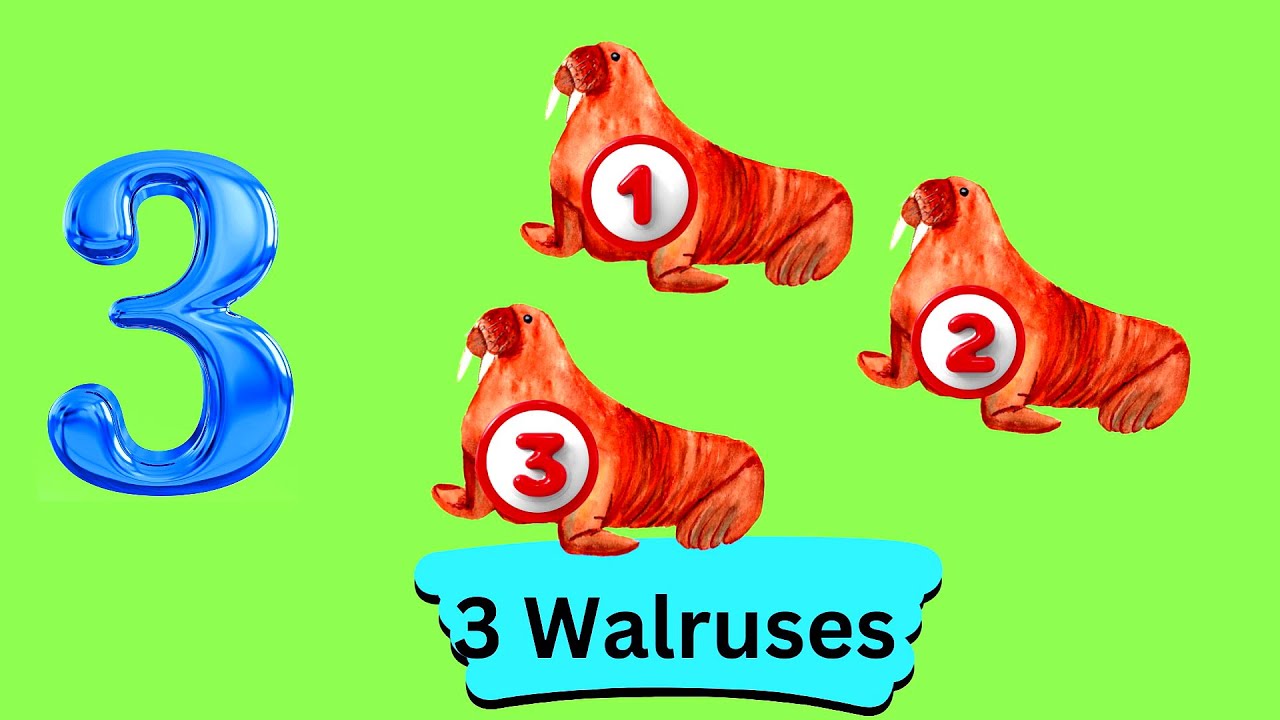 Let's Have Fun Counting 1- 20 with Sea Creatures | Toddlers/Kids ...