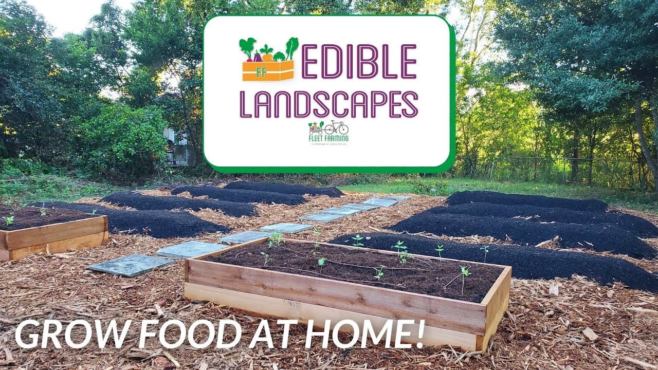 Edible Landscapes - Grow Food at Home! - YouTube