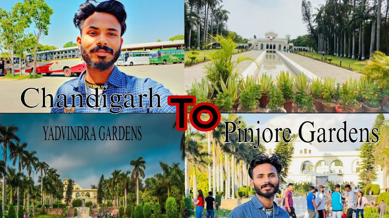 Pinjore Garden Chandigarh | Yadvindra Gardens pinjore |Travel Vlog ...