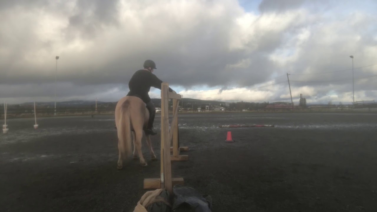 Gate working equitation - YouTube