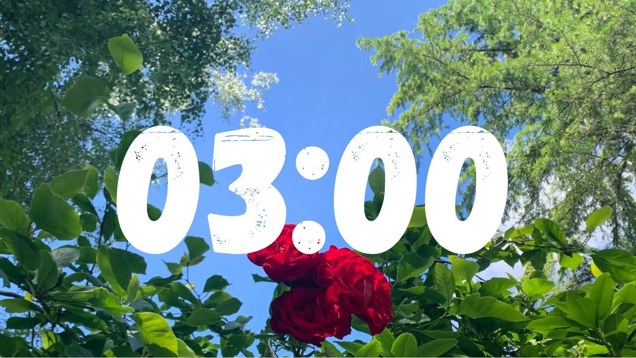 3 Minute Countdown Timer with Birds Singing in the Garden - YouTube