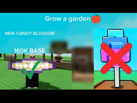 [INSANE] FOSSIL LIGHT IS BETTER THAN CANDYBLOSSOM??!??? (Grow a garden ...