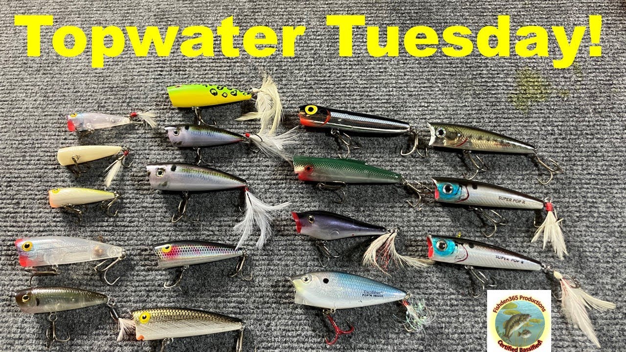 Best Popper Lures For Bass - YouTube