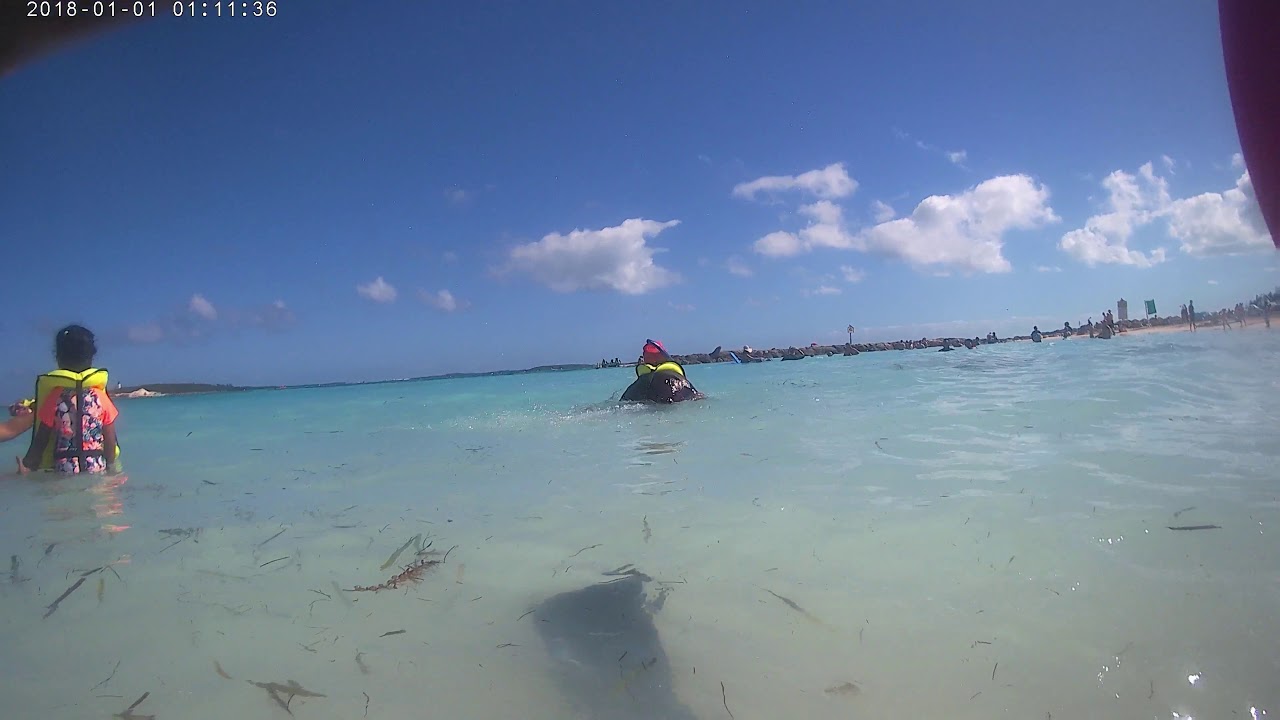 Snorkeling Fun II @ Coco Cay Island, Bahamas - YouTube