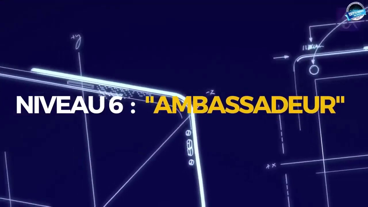 PLAN DE COMPENSATION DE LIYEPLIMAL NIVEAU 6 AMBASSADEUR - YouTube