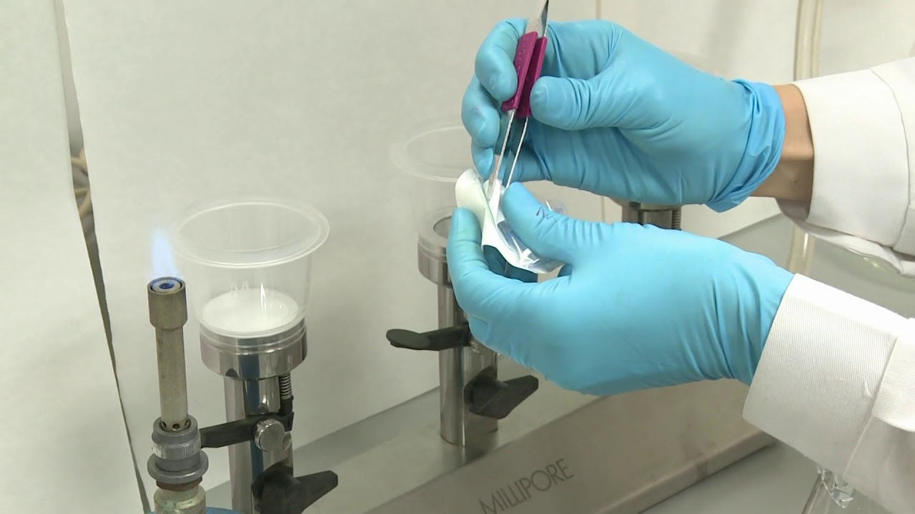 Identificación y Recuento de E.coli y bacterias coliformes | | UPV ...