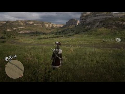 3/3 Prairie Chickens Skinned Location RDR2 Daily Challenges Red Dead ...