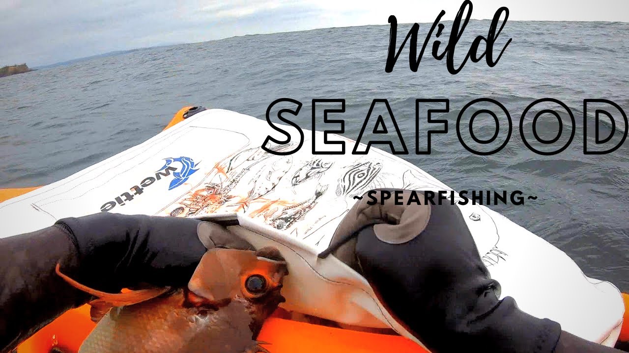 Quick underwater hunt for some fresh fish - YouTube