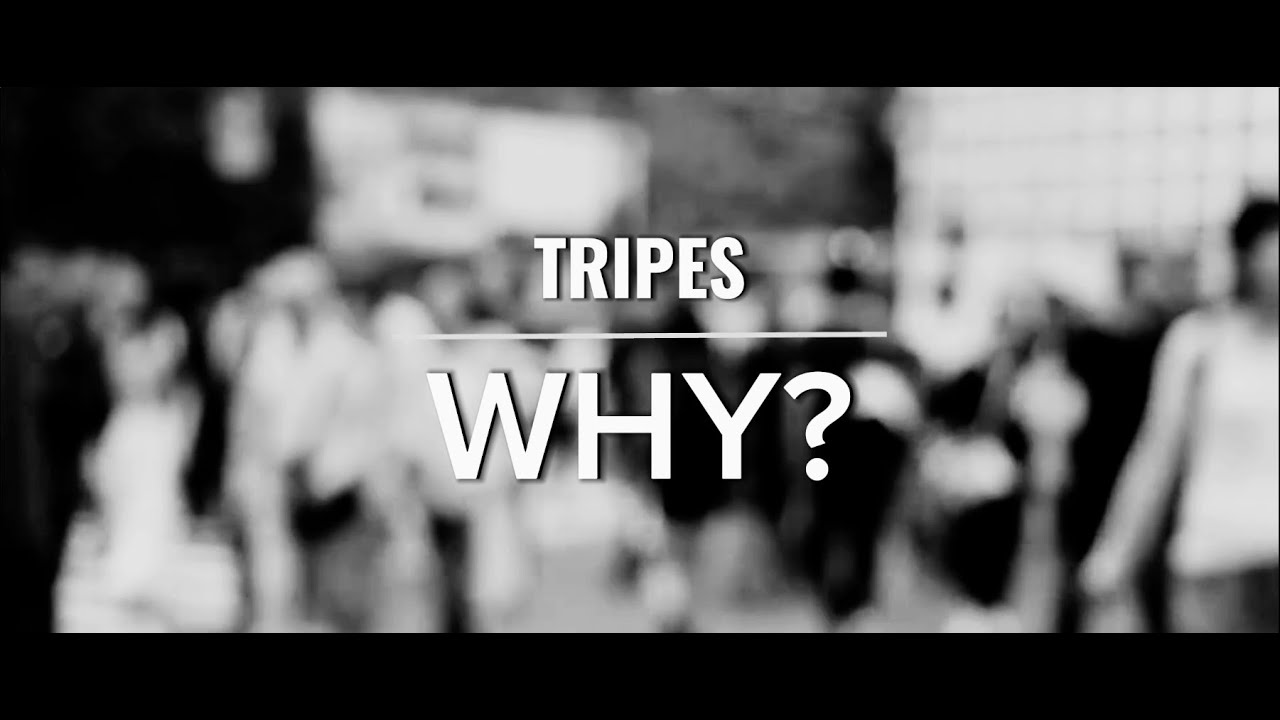 TRIPES - Why? (AIred Mix) - YouTube