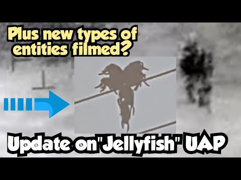 Update on jellyfish UAP plus a few new strange Jellyfish like UFOs/UAP ...
