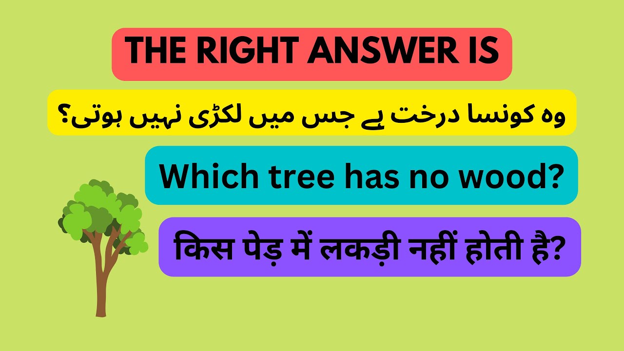 General Knowledge | Amazing Facts | Question Answers - YouTube