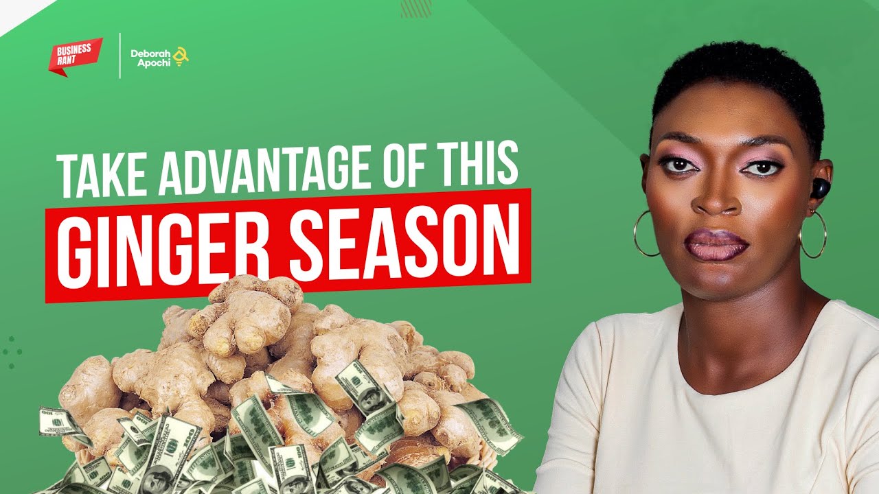 Quick Ways To Start Ginger Business and Make Money in 2023 I Deborah ...