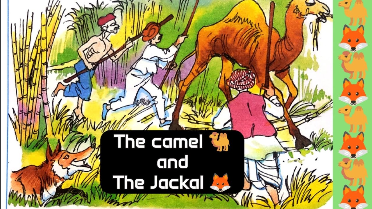 The camel and the jackal story, junior KG, senior KG, Maharashtra board ...