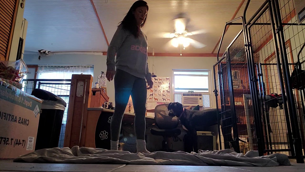 Sage fall prevention(2) - YouTube