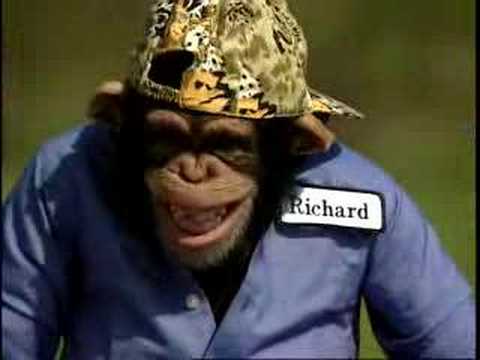 Monkey Butt - YouTube