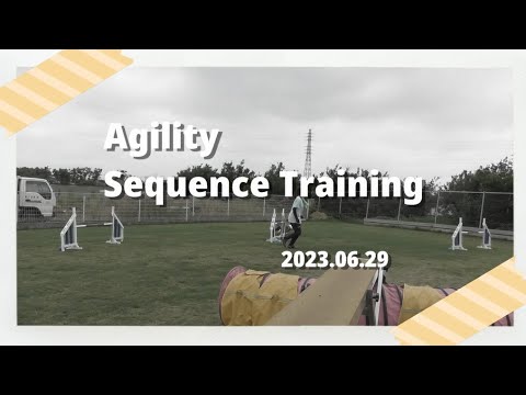 【Agility VLOG】"CHIP" Sequence Training 2023_0629 - YouTube