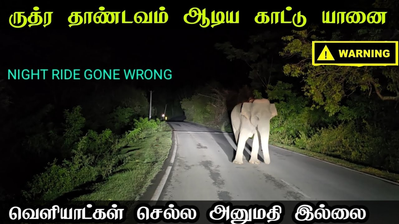 நீண்ட நாட்களுக்கு பிறகு தரமான இரவு சம்பவம்|மிஸ் பன்னீடாதீங்க|night ...