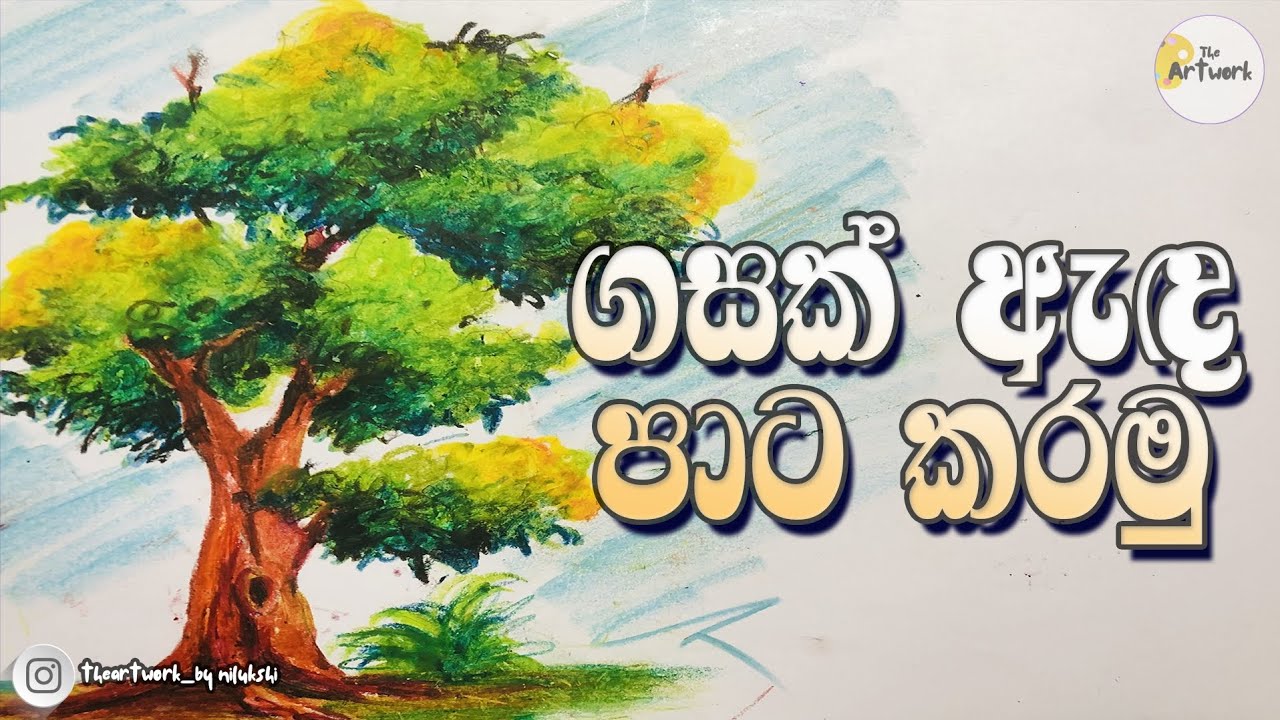 How to draw tree and coloring.ගසක් ඇද පාට කරන ආකාරය.#drawingtutorial # ...