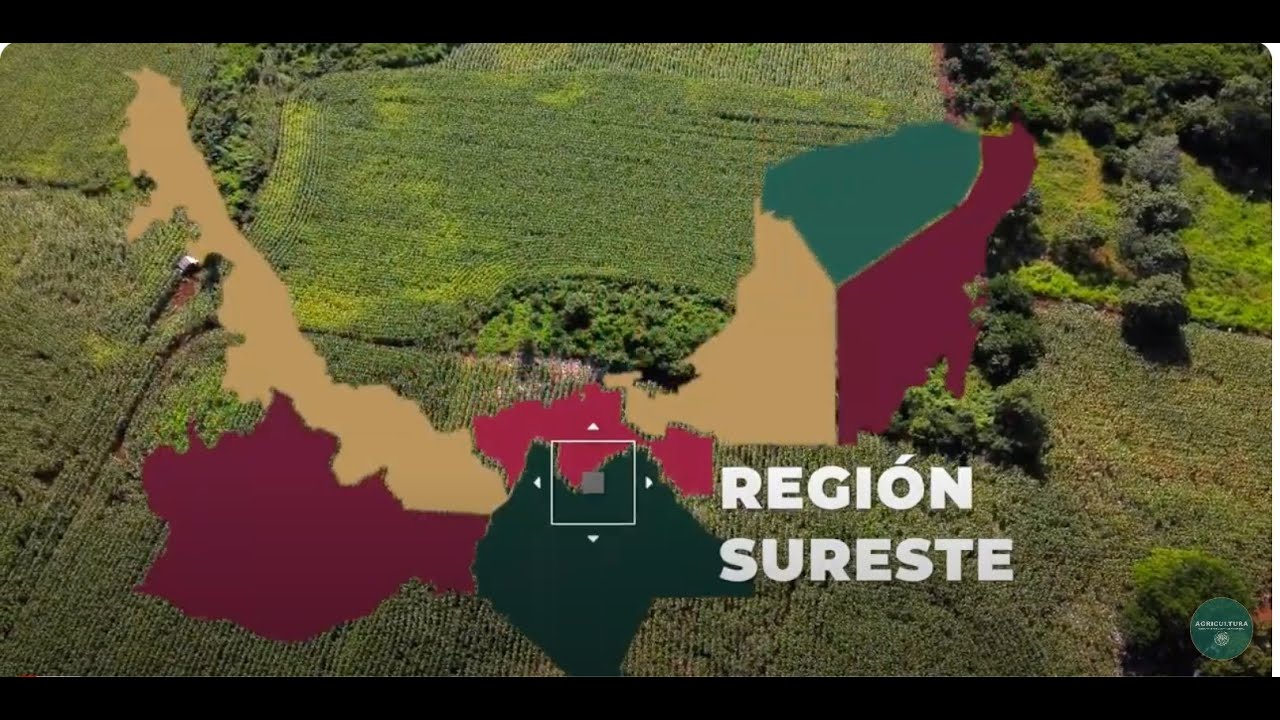 Fertilizantes para el Bienestar- Región Sureste - YouTube