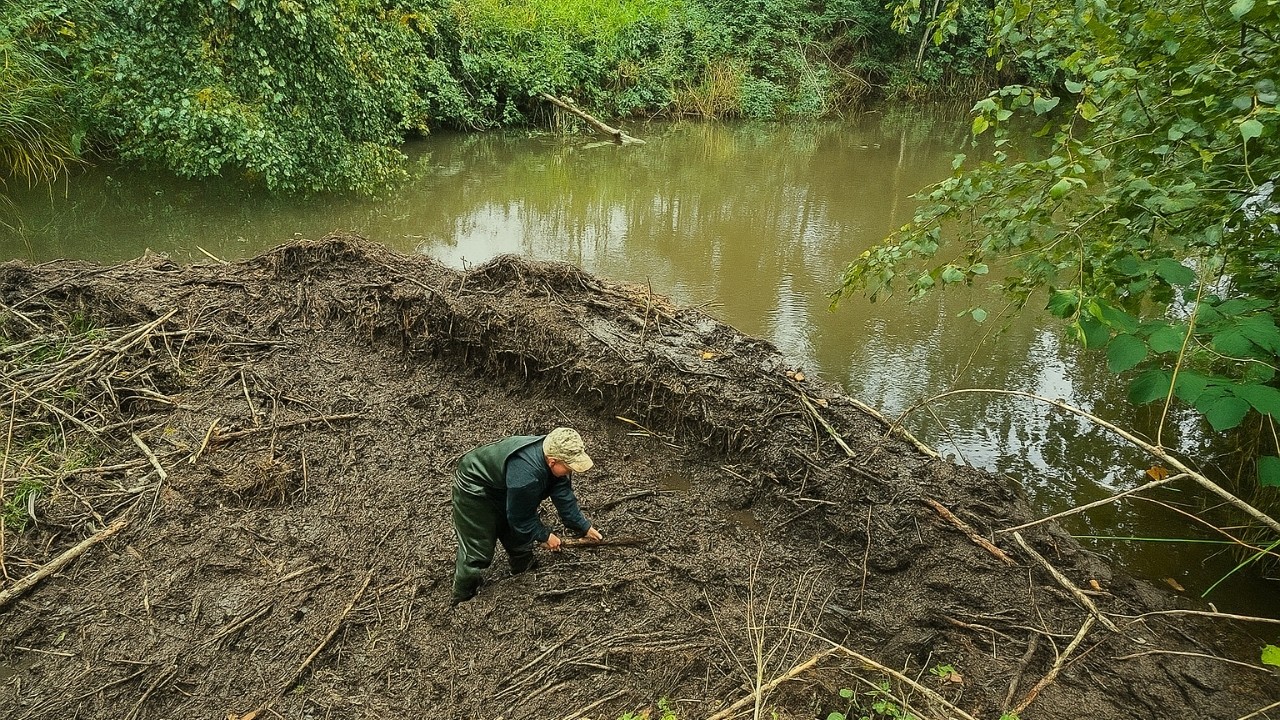 Beaver Dam Collapse – Powerful Water Surge Down the Canal! - YouTube