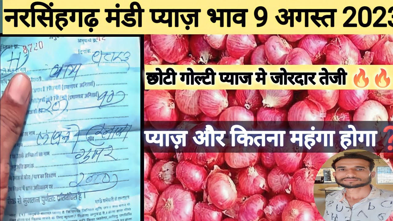 Pyaj ka bhav l Onion prices today l Narsinghgarh mand 9 august - YouTube