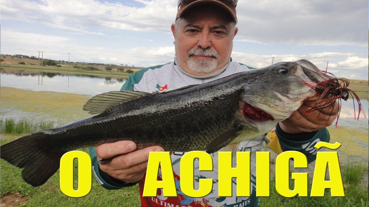 O ACHIGÂ - SEGREDOS DE PESCA - YouTube