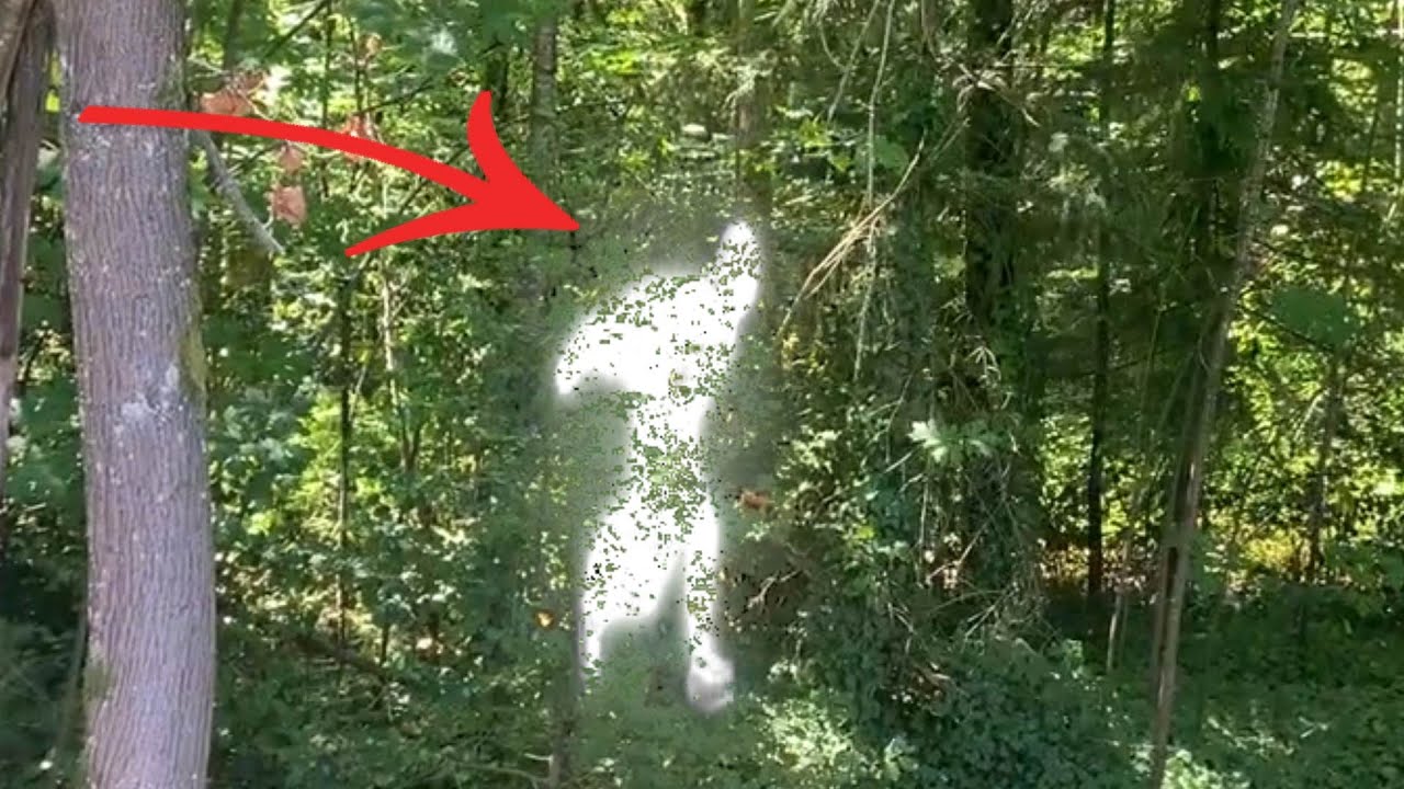 Abarimon - Antipode Hominid creature sighting in Europe - YouTube