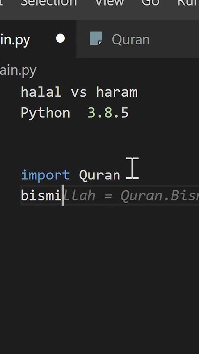 Halal vs haram python 😄 #computer #coder #webdeveloper - YouTube