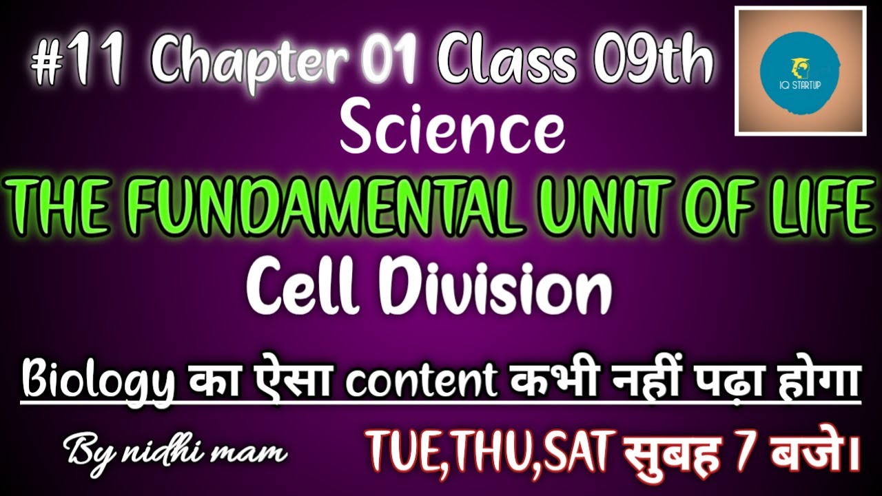 Class 12 | The fundamental unit of life |Cell division | Biology by ...