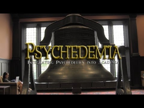 PSYCHEDEMIA - The Psychedelic Conference Documentary