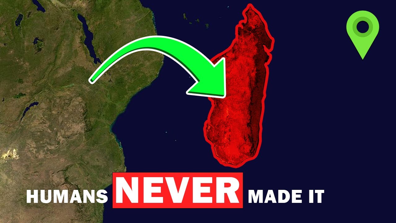 How Did Humans Get Here? - YouTube