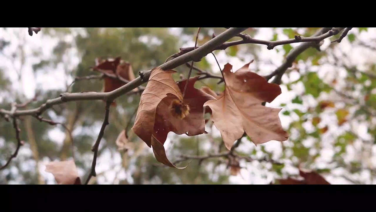 Dural City and Brays Point Reserve - YouTube