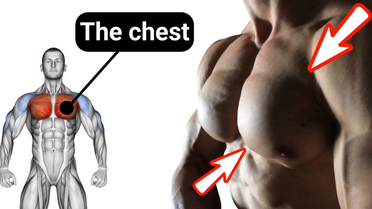 Top 10 Exercises🏠 to Build Chest Muscles🔥 - YouTube