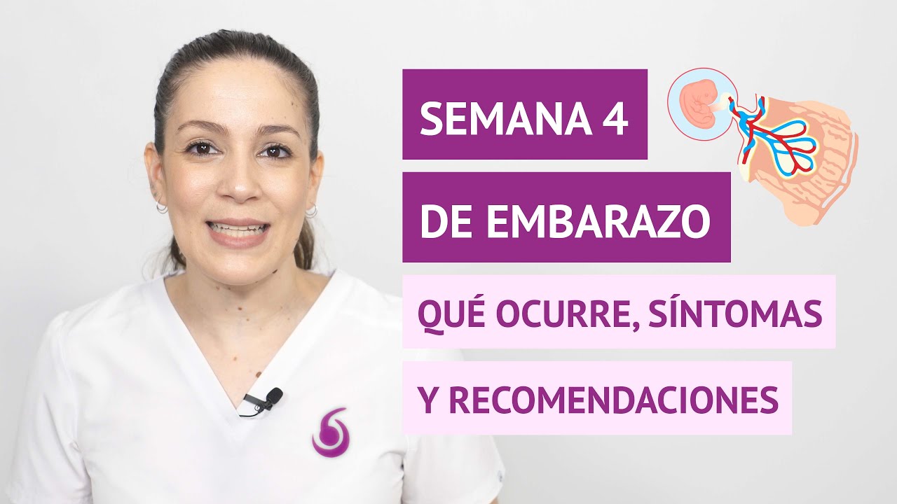 Semana 4 de embarazo: implantación del embrión en el útero y síntomas - YouTube