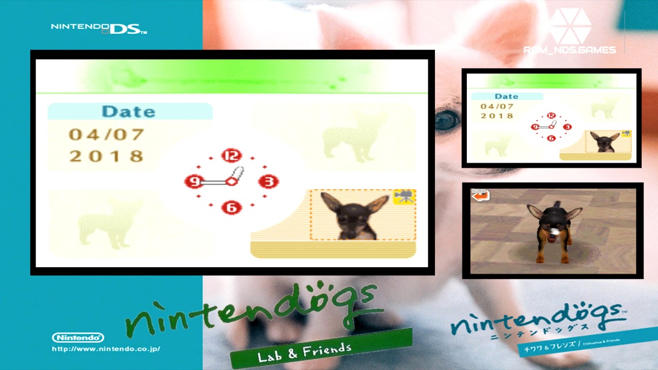 ROM_NDSGAMES - [Nintendogs Labrador & Friends DS] - YouTube