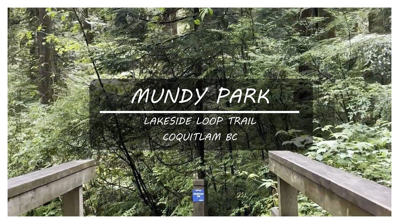 Mundy Park Lakeside Loop Trail Coquitlam BC - Virtual Walk - Walking ...