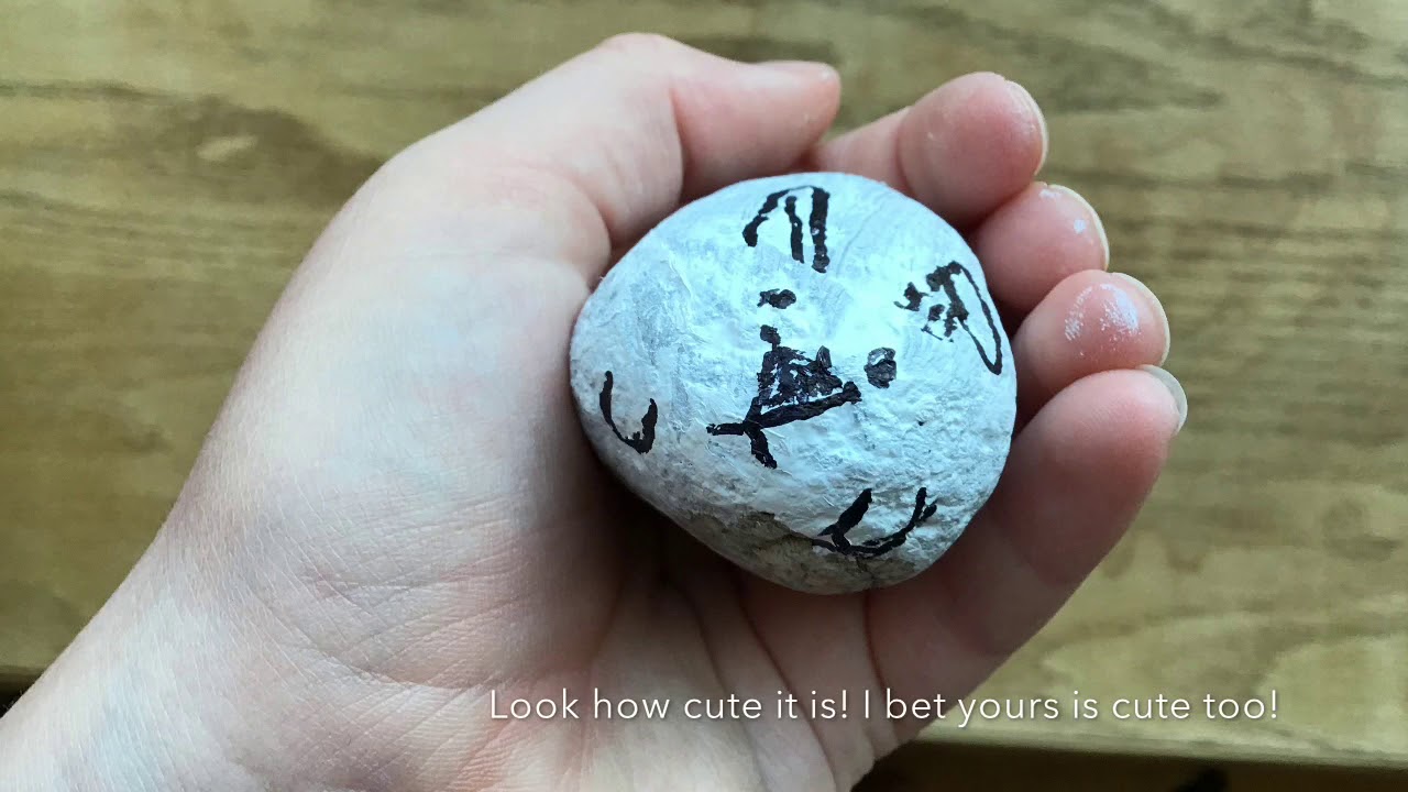 How to make your very own pet rock! Easy DIY! - YouTube