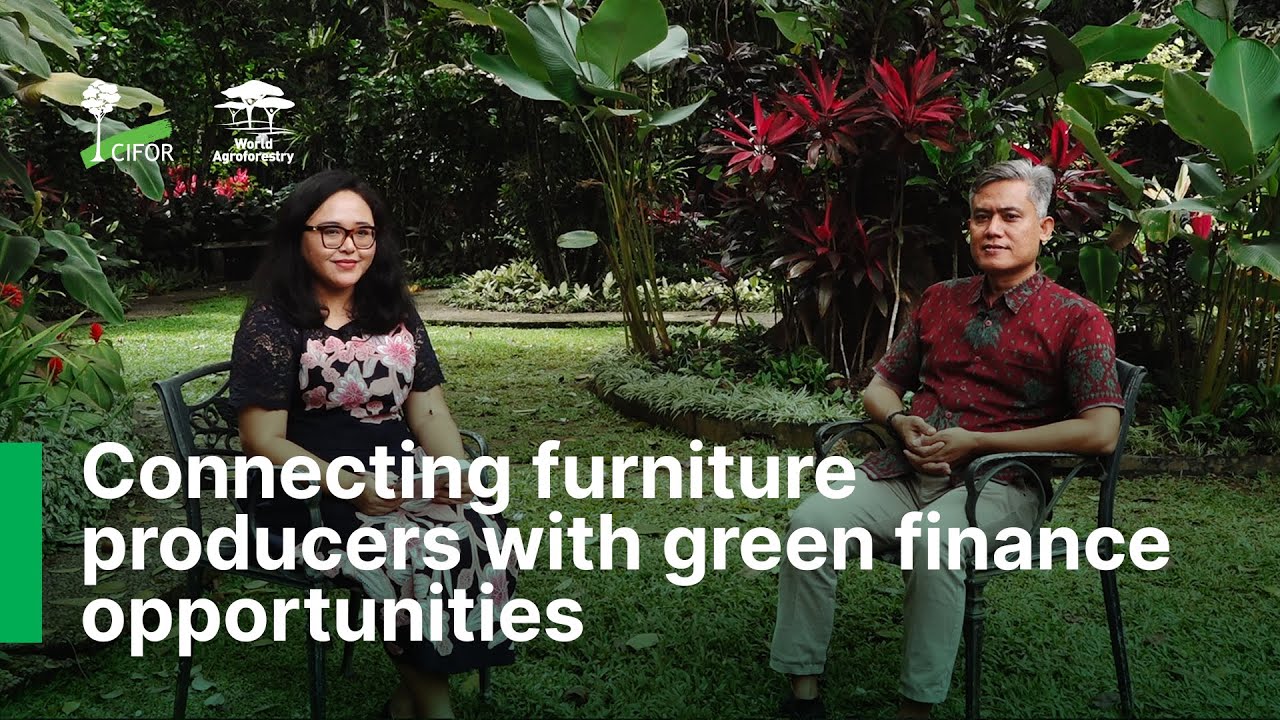 Connecting furniture producers with green finance opportunities - YouTube