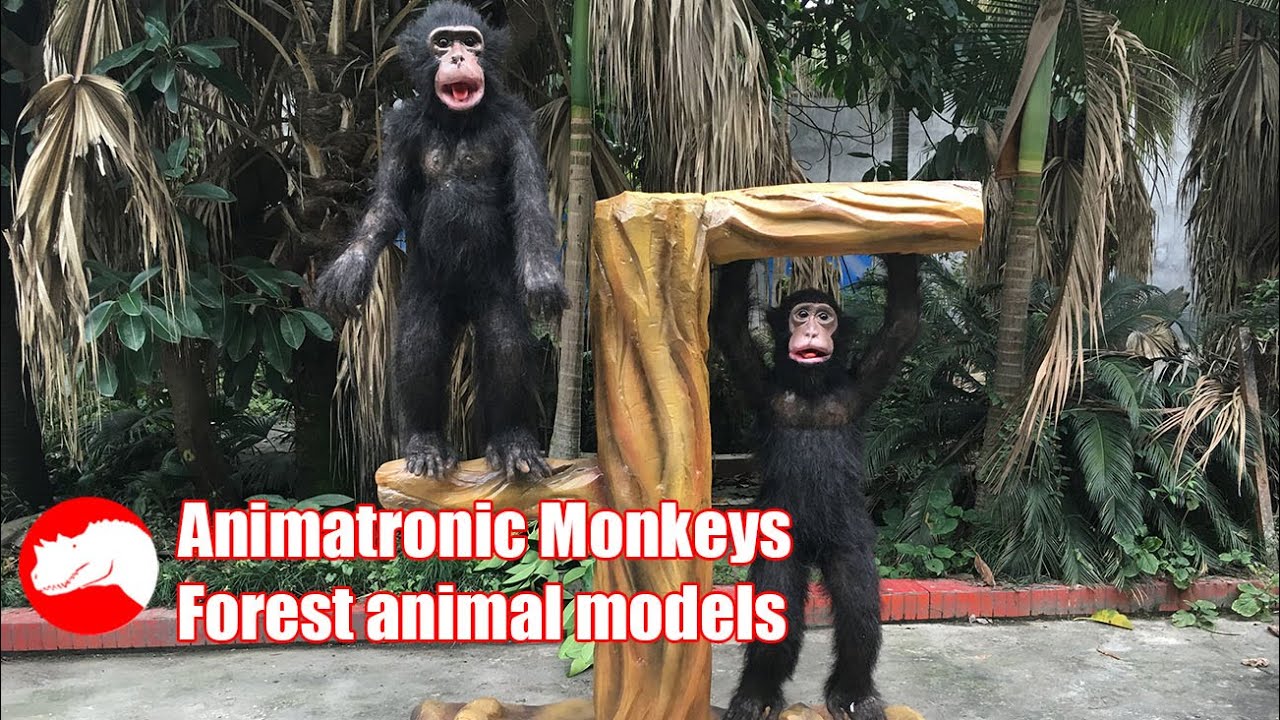 Life Size Monkey Models - YouTube