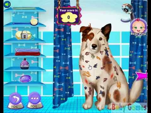 Baby video kids game - Cute dog washing game! - YouTube