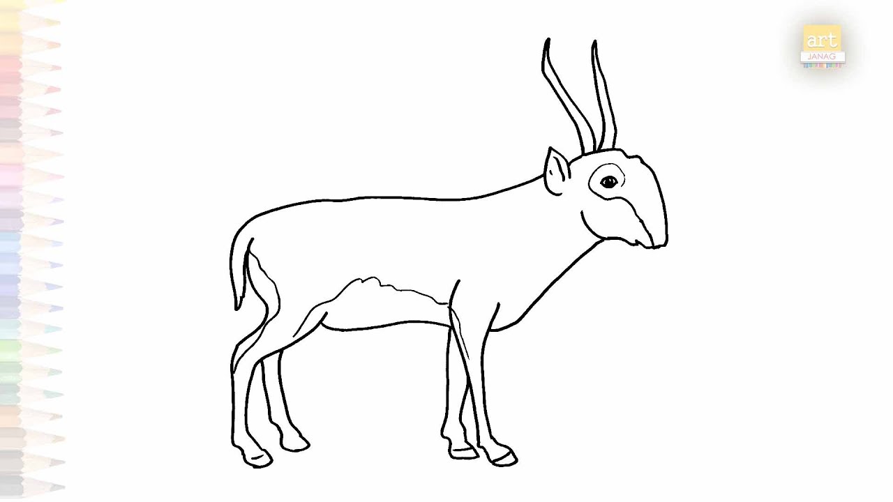 Saiga antelope easy drawing | Animal drawing tutorial | How to draw A ...