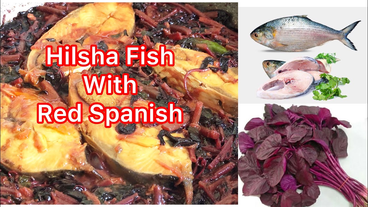 Red Spanish Recipe | Hilsha Fish with Red Spanish Recipe ...