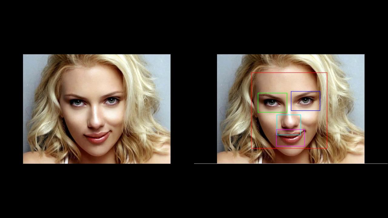 Multiple Face/ Mouth/ Nose/ Eye Detection | Haar Cascade | Object ...