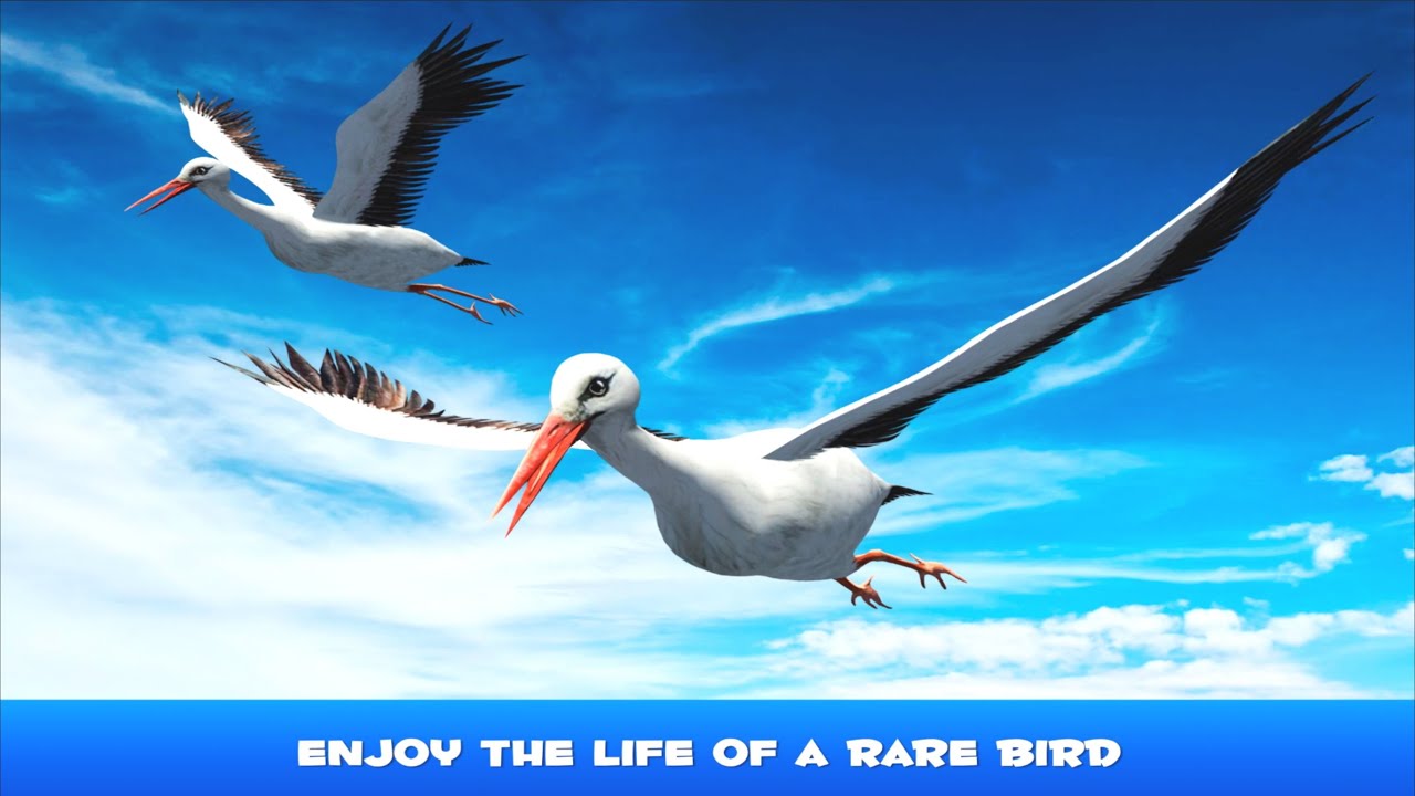 Stork Simulator 3D: Flying Bird Life Adventure Missions - YouTube