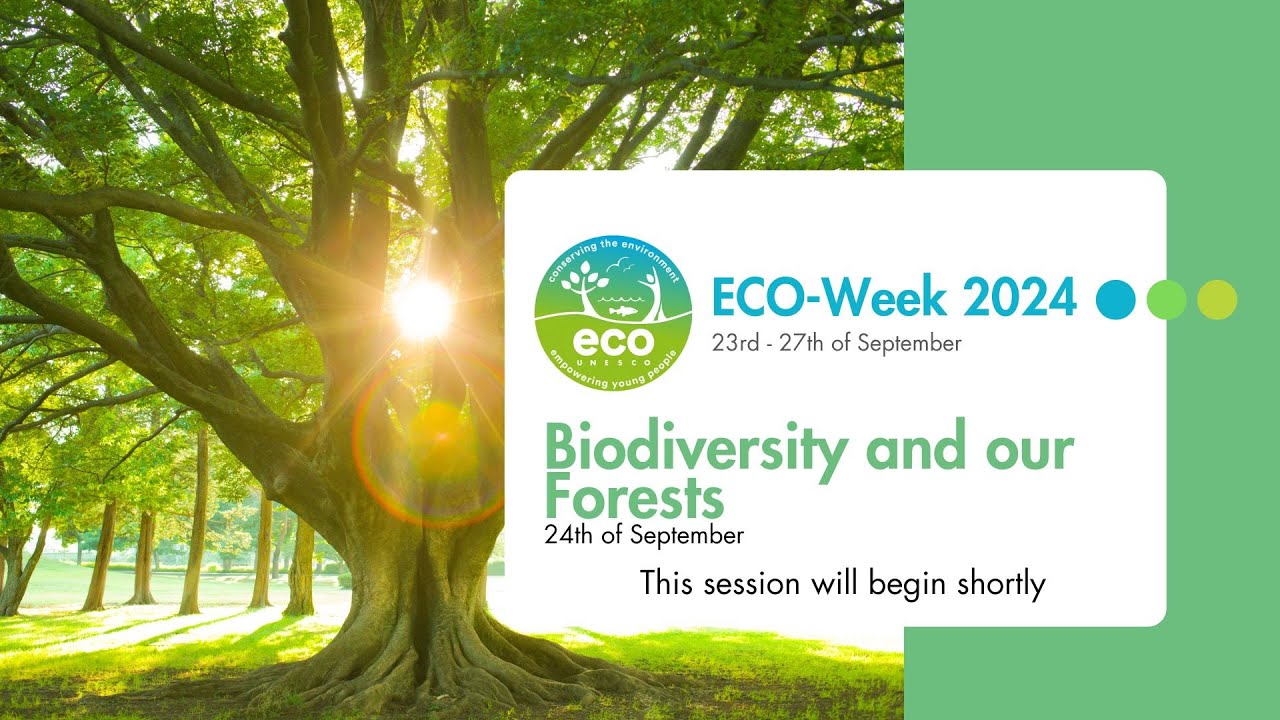 SDG #15 Biodiversity and our Forests (Age: 13-18) - YouTube