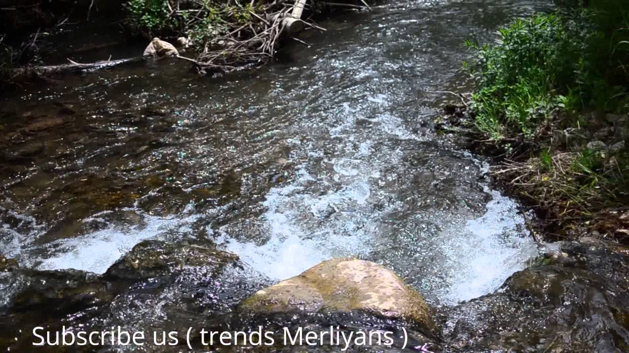 Mermaid A Real Footage Of Kadal Kanni - YouTube