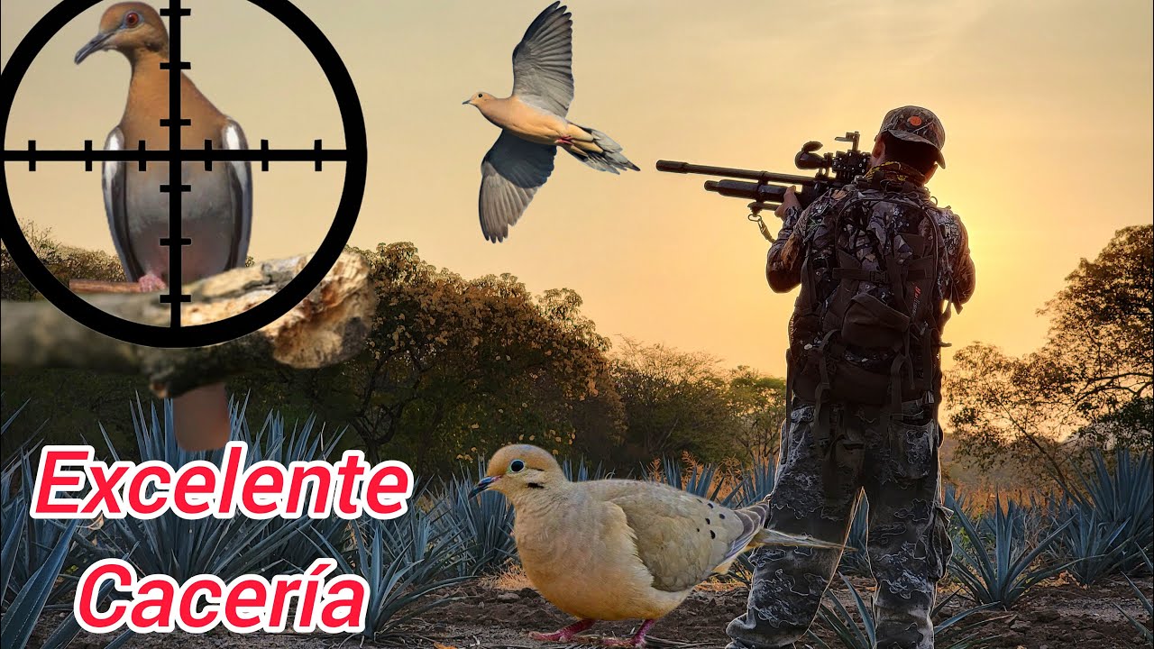 Cacería De Huilotas Llaneras - YouTube